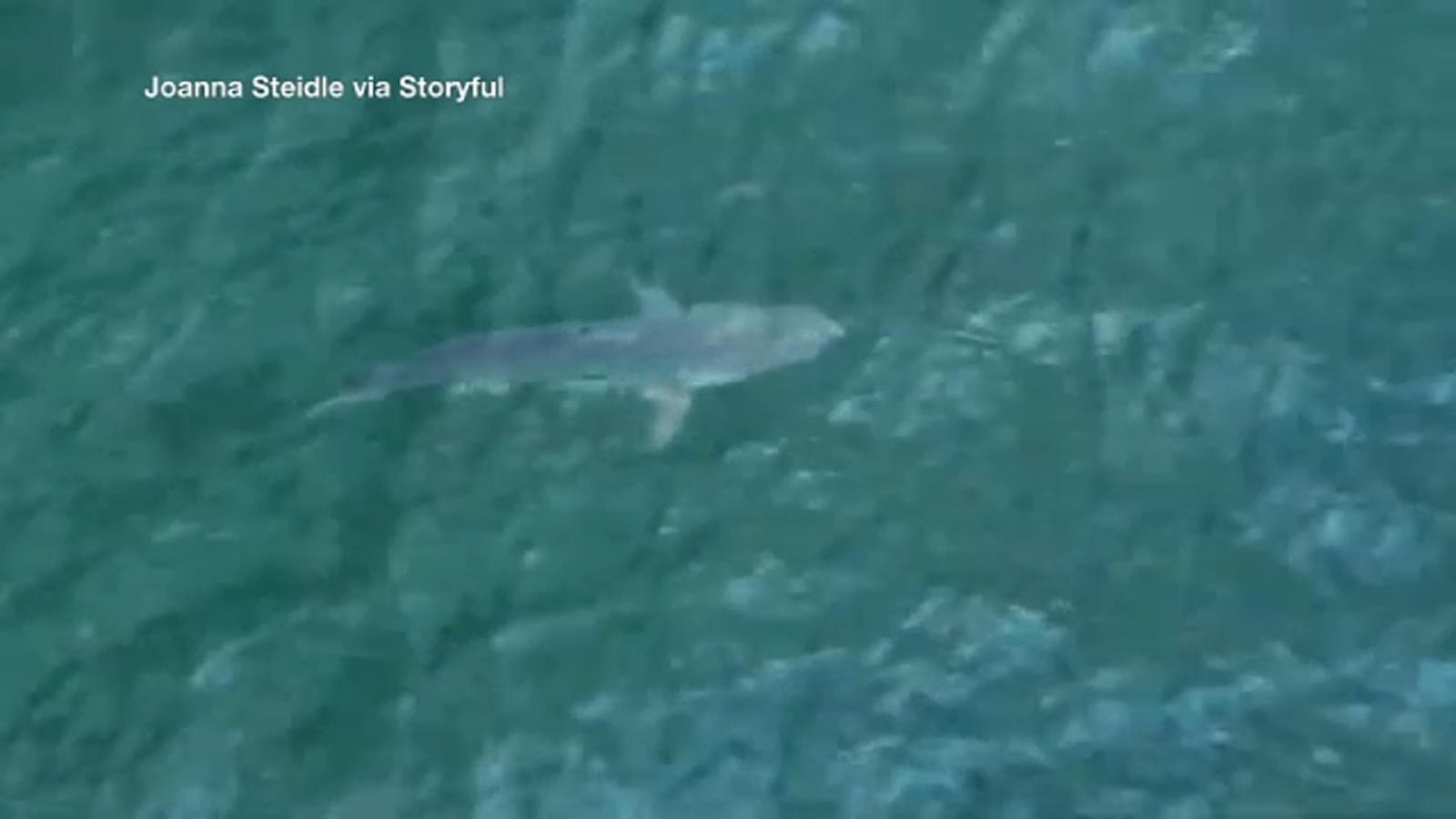 New shark-monitoring drones coming to NY beaches, Gov. Kathy Hochul ...