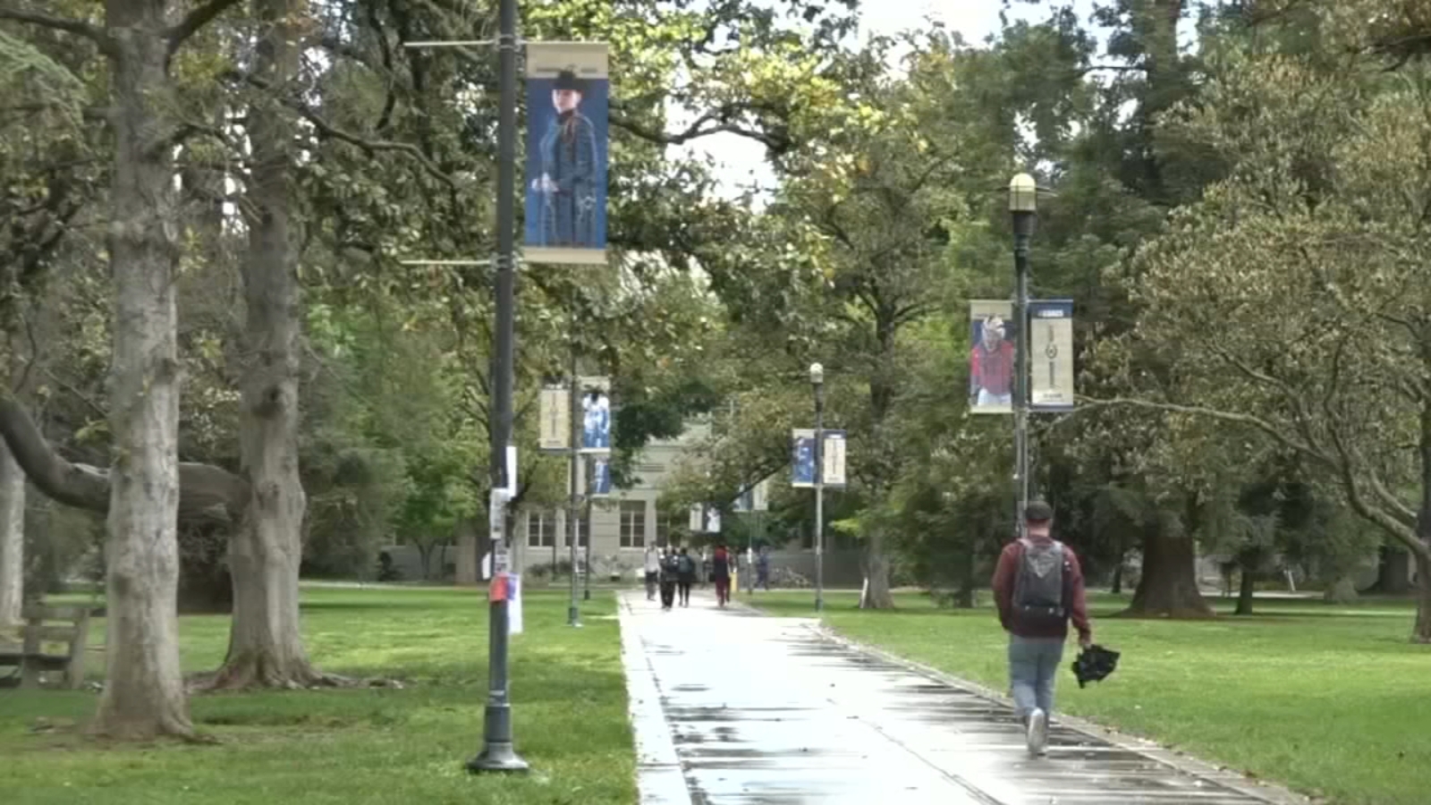 Sexual harassment, discrimination complaints across California State ...