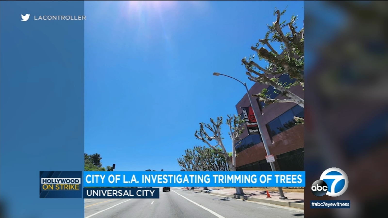 City of Los Angeles investigating trimming of trees outside Universal ...