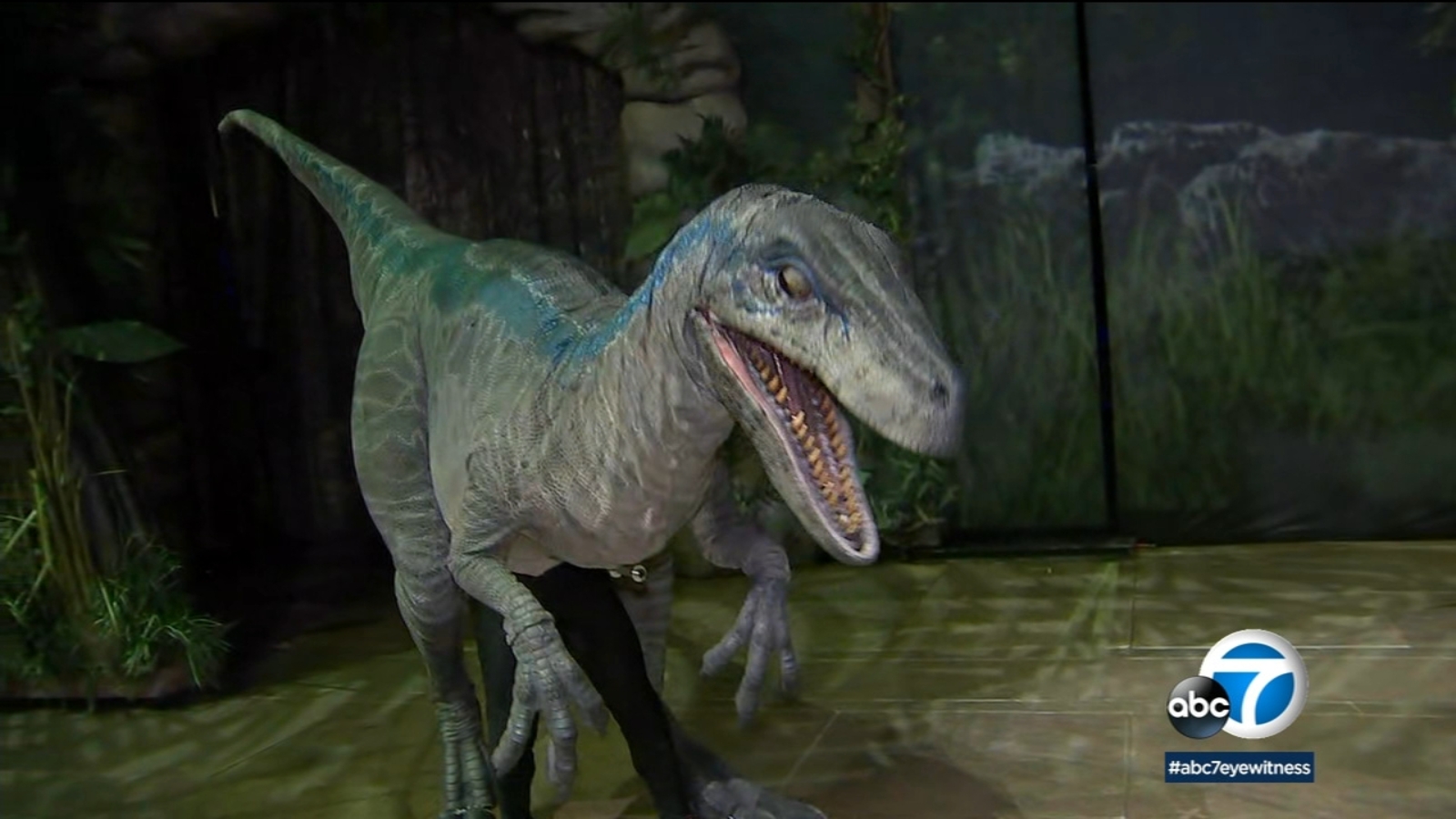Jurassic World Live Tour brings action-packed show to Crypto.com Arena ...