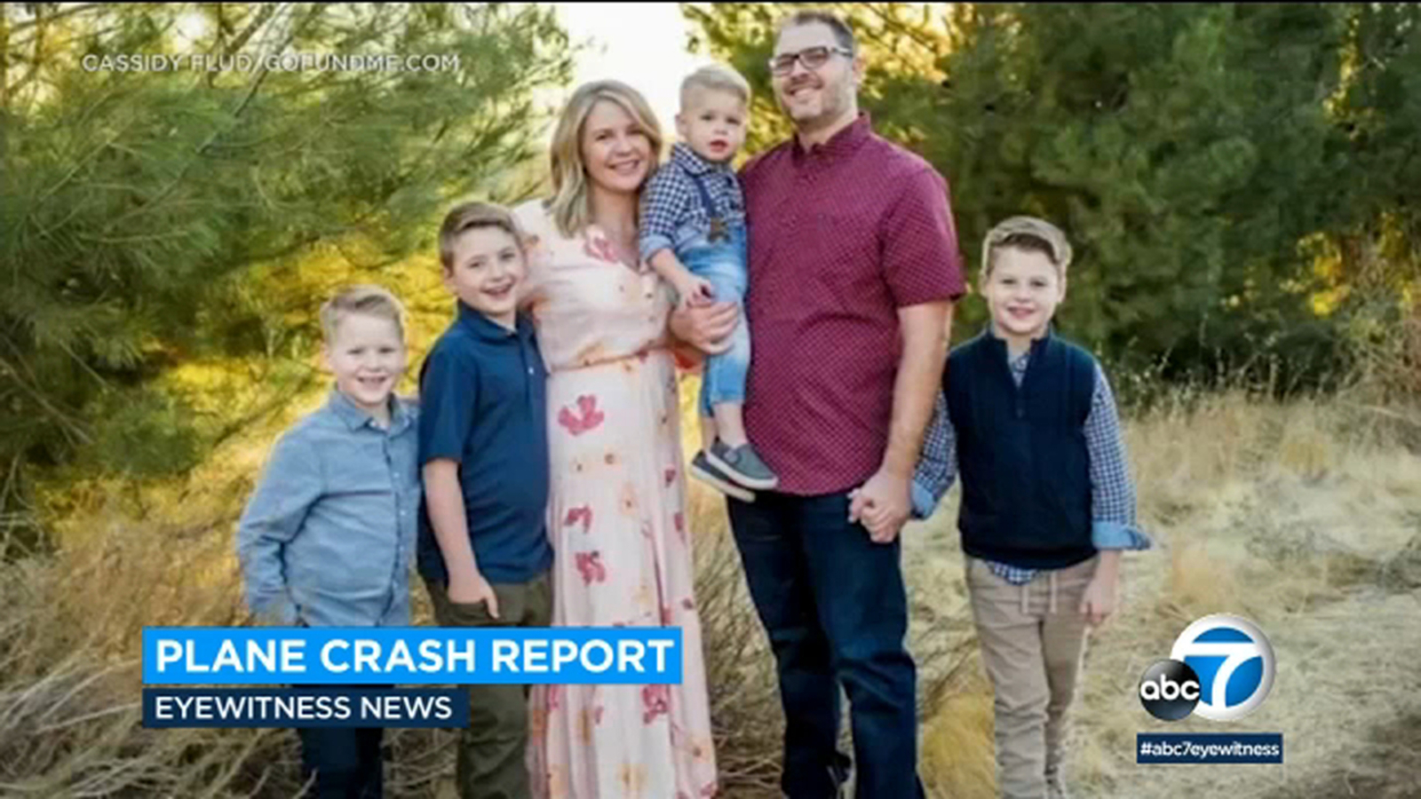 NTSB releases report on July 4 French Valley plane crash that killed man, injured his three sons ...