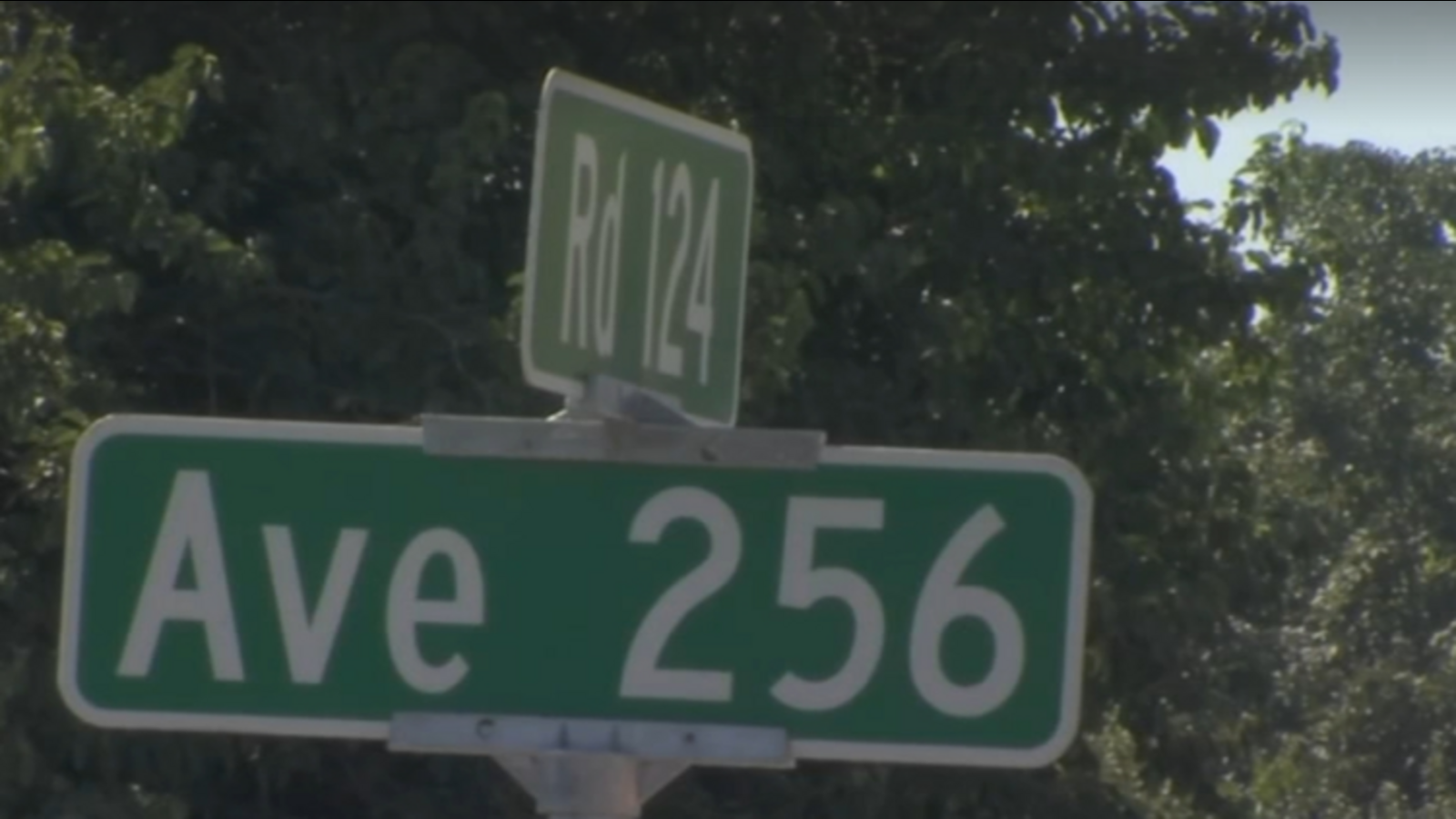 Driver accused of killing 10-year-old in 2019 dies before serving time ...