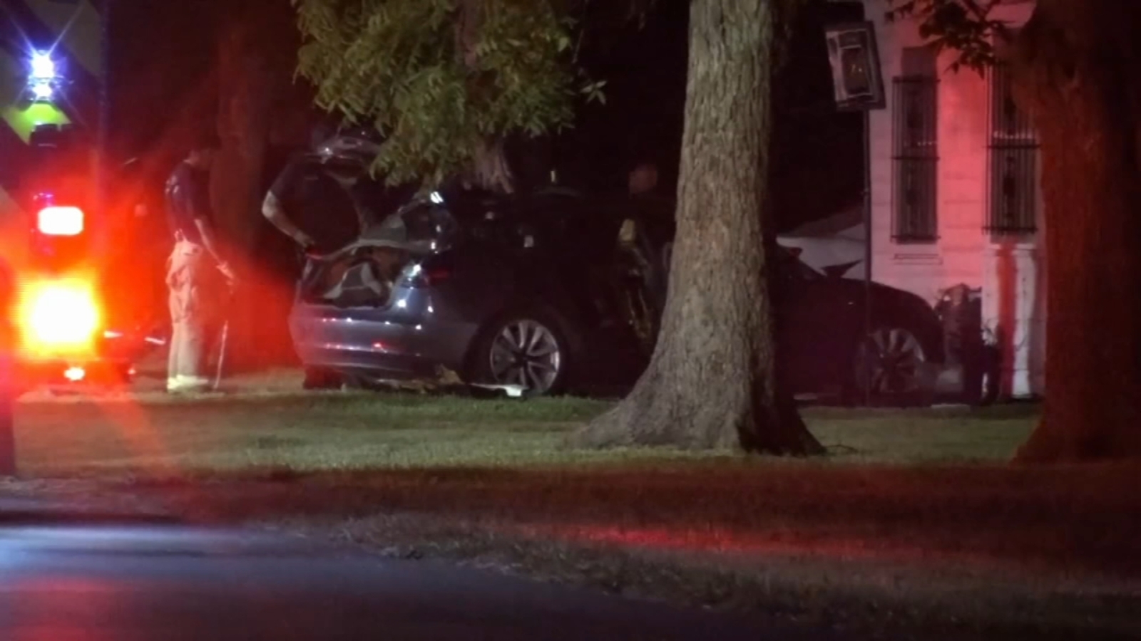 Driver dies, woman rescued after Tesla crashes into tree, hitting ...