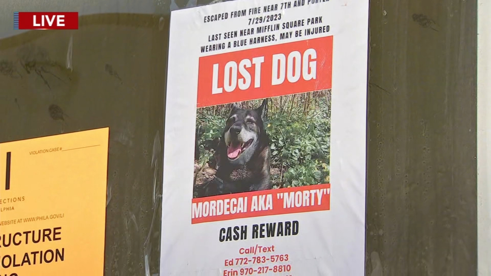 Tenant Ed Nicodemus searches for lost dog Mordecai after fire erupts in ...