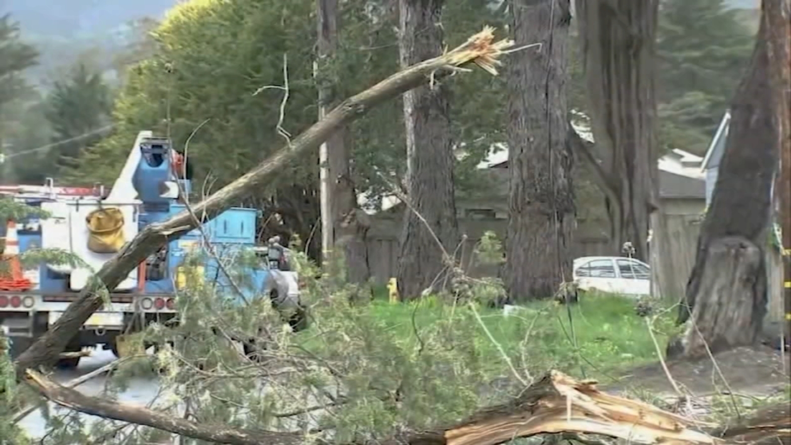 Concerns raised as PG&E cuts tree-trimming program for wildfire ...