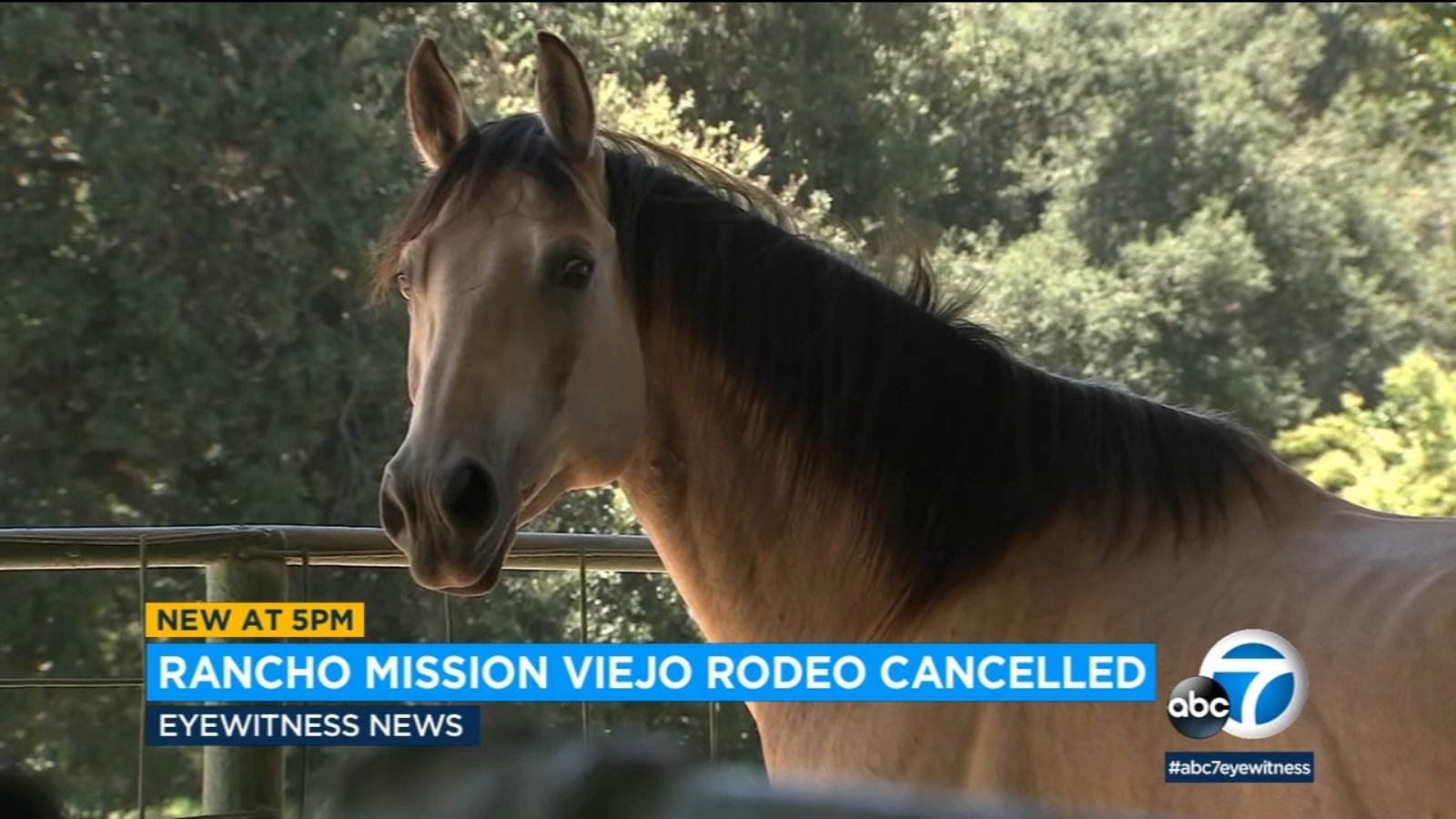 Rancho Mission Viejo cancels rodeo as precaution due to VSV virus ...