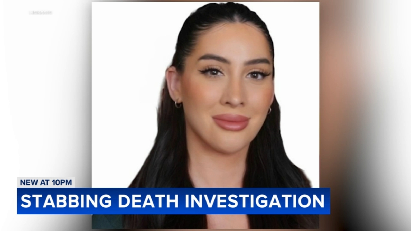 Oak Forest stabbing: Man in custody in connection with death of Lauren ...