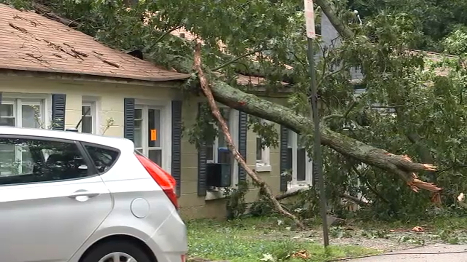 NJ storm damage: Tree crashes onto home, cars and power lines in Victory Gardens - ABC7 New York
