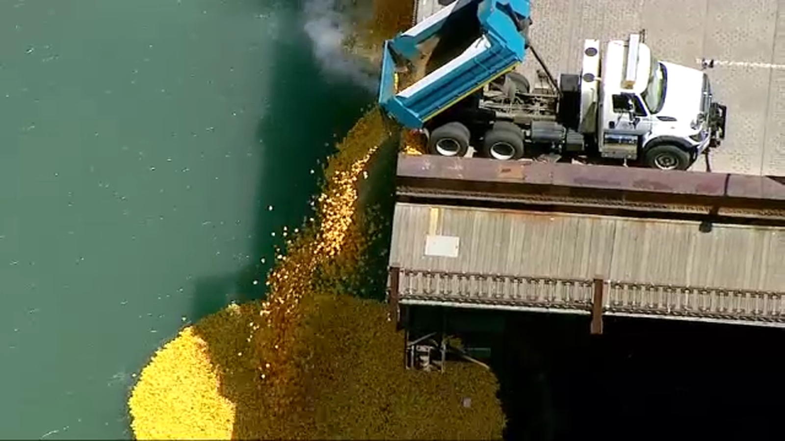 Chicago Ducky Derby 2023: Annual duck race fundraiser splashes down in ...