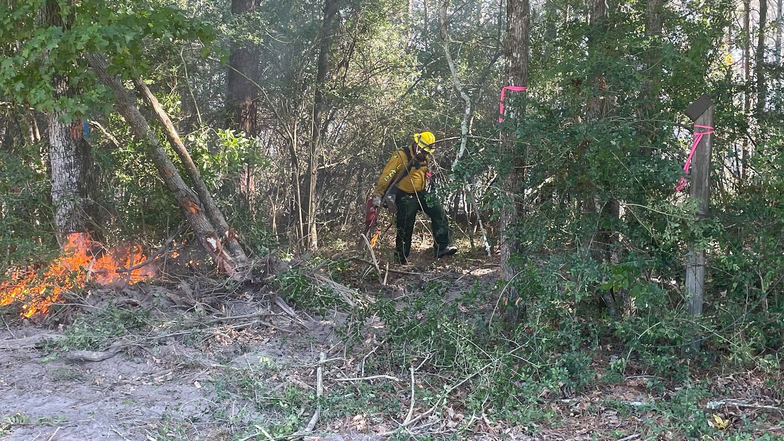 Texas wildfires 2023: Trinity County crews working to tame wildfire ...