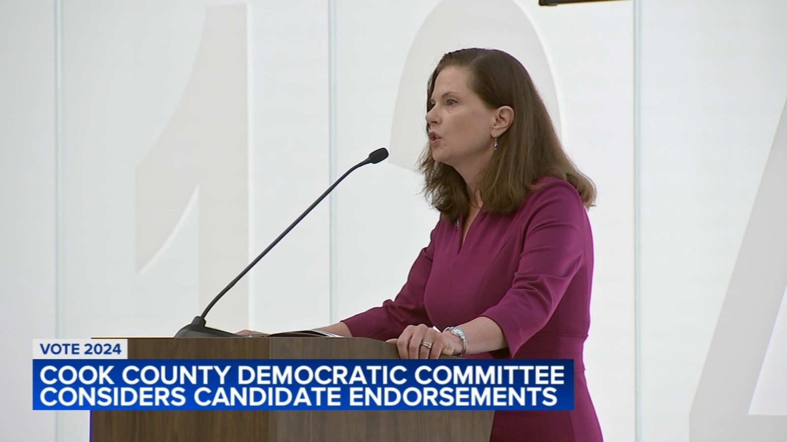 Tense moments at Cook County Democrats' meeting on state's attorney ...