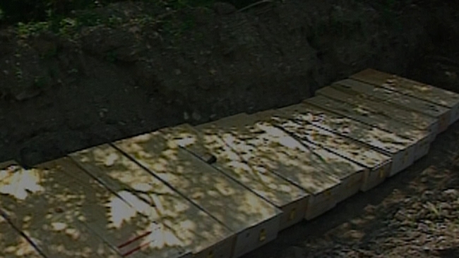 Hot Chicago summers expected to get more 100-plus degree days by 2050 ...