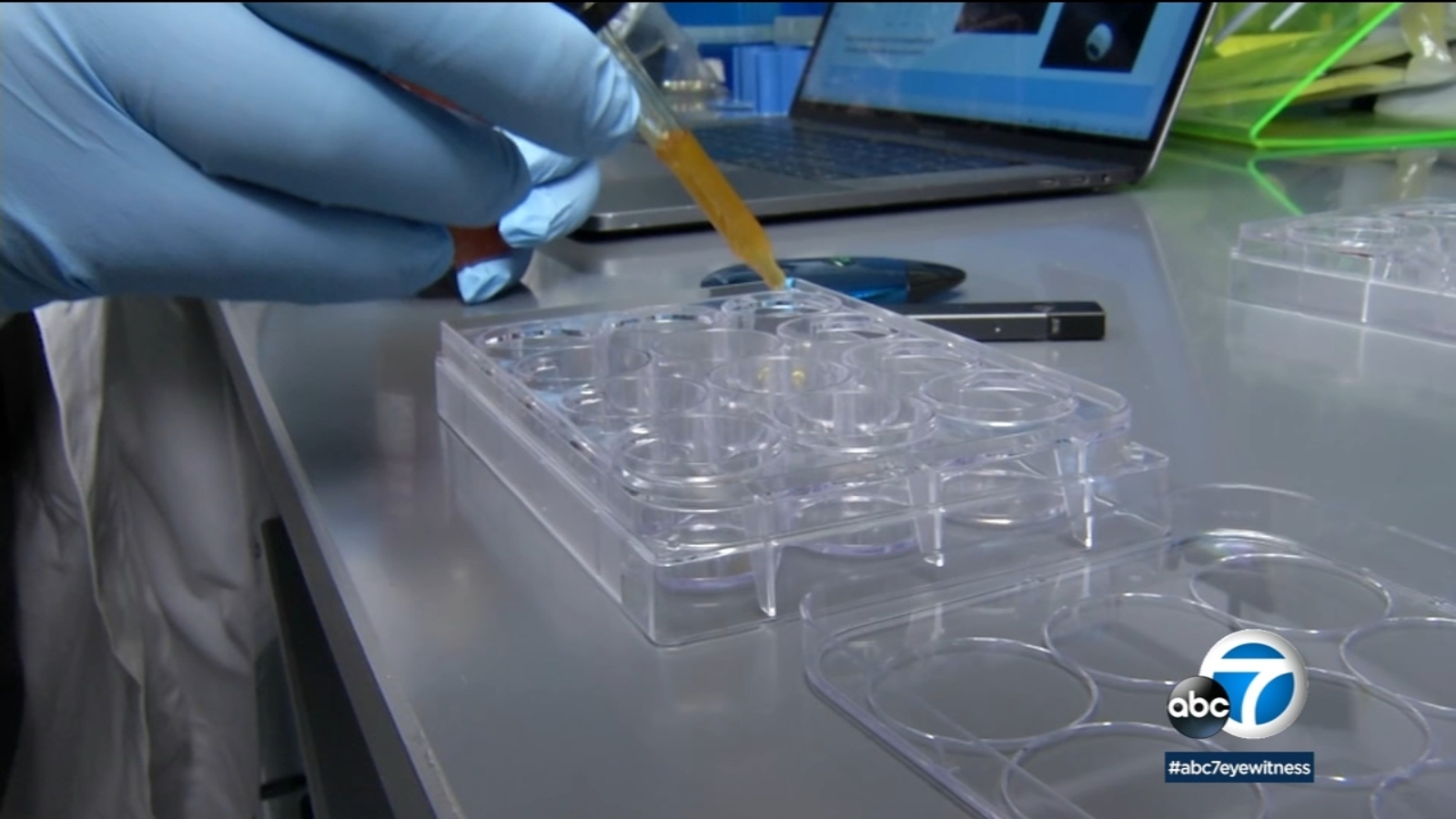 What to know about RSV vaccines as pharmacies begin rollout - ABC7 Los ...