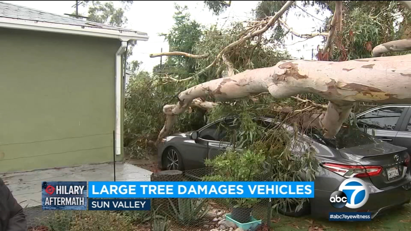 Massive tree topples onto cars parked outside Sun Valley home amid Tropical Storm Hilary - ABC7 ...