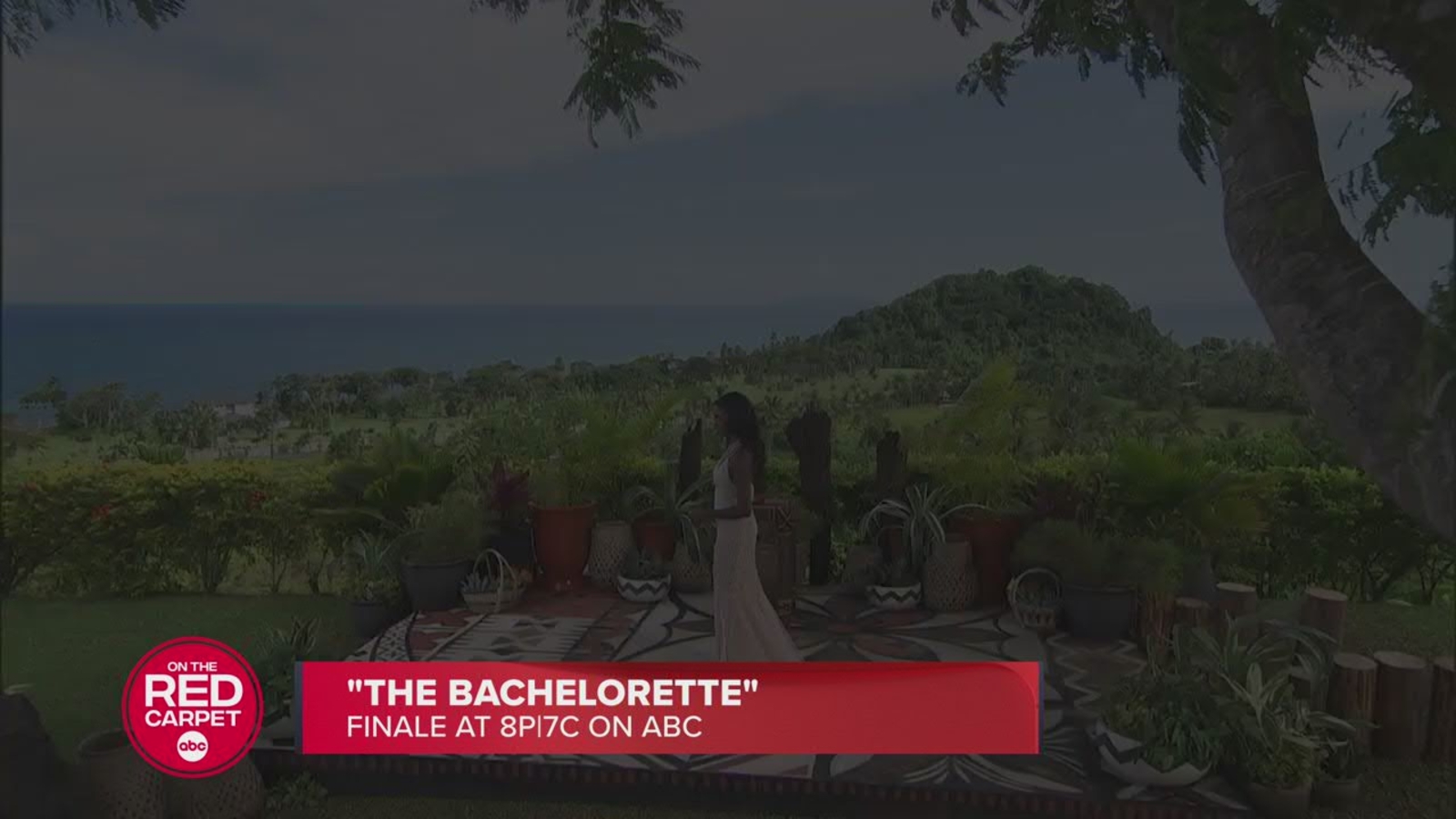 Charity Lawson previews tonight's dramatic finale of 'The Bachelorette ...