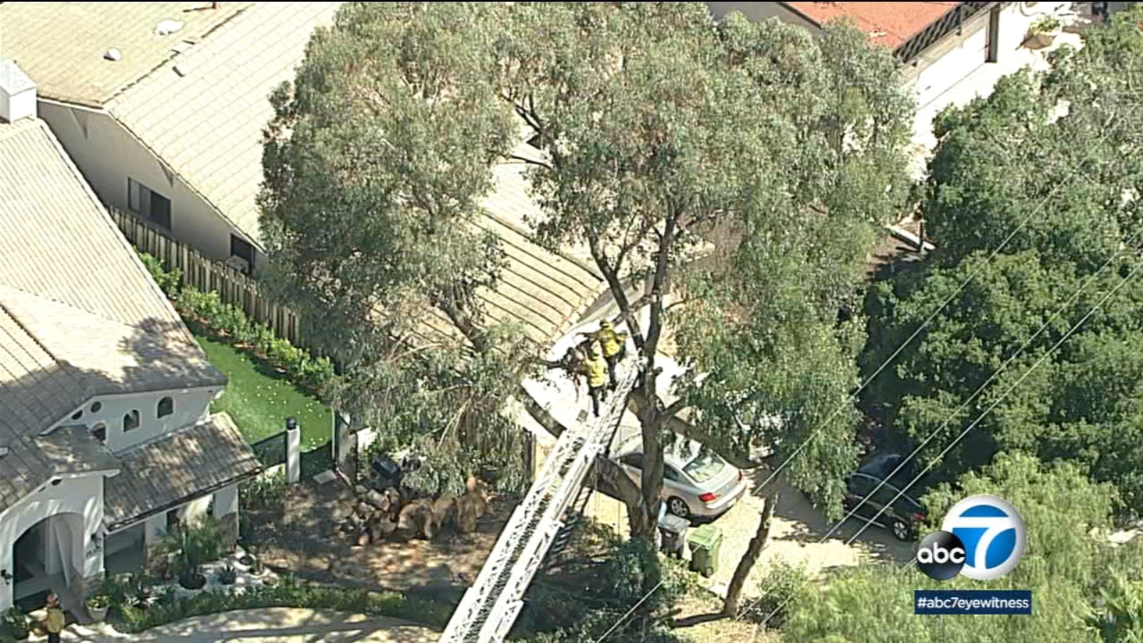 Hombre muere mientras podaba árboles en Agoura Hills - ABC7 Los Angeles