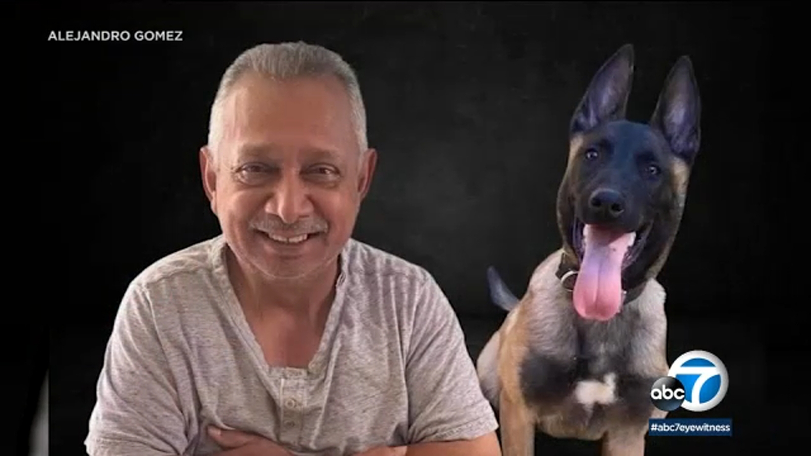 Jaime Gomez death: Father and his dog killed in hit-and-run crash in ...