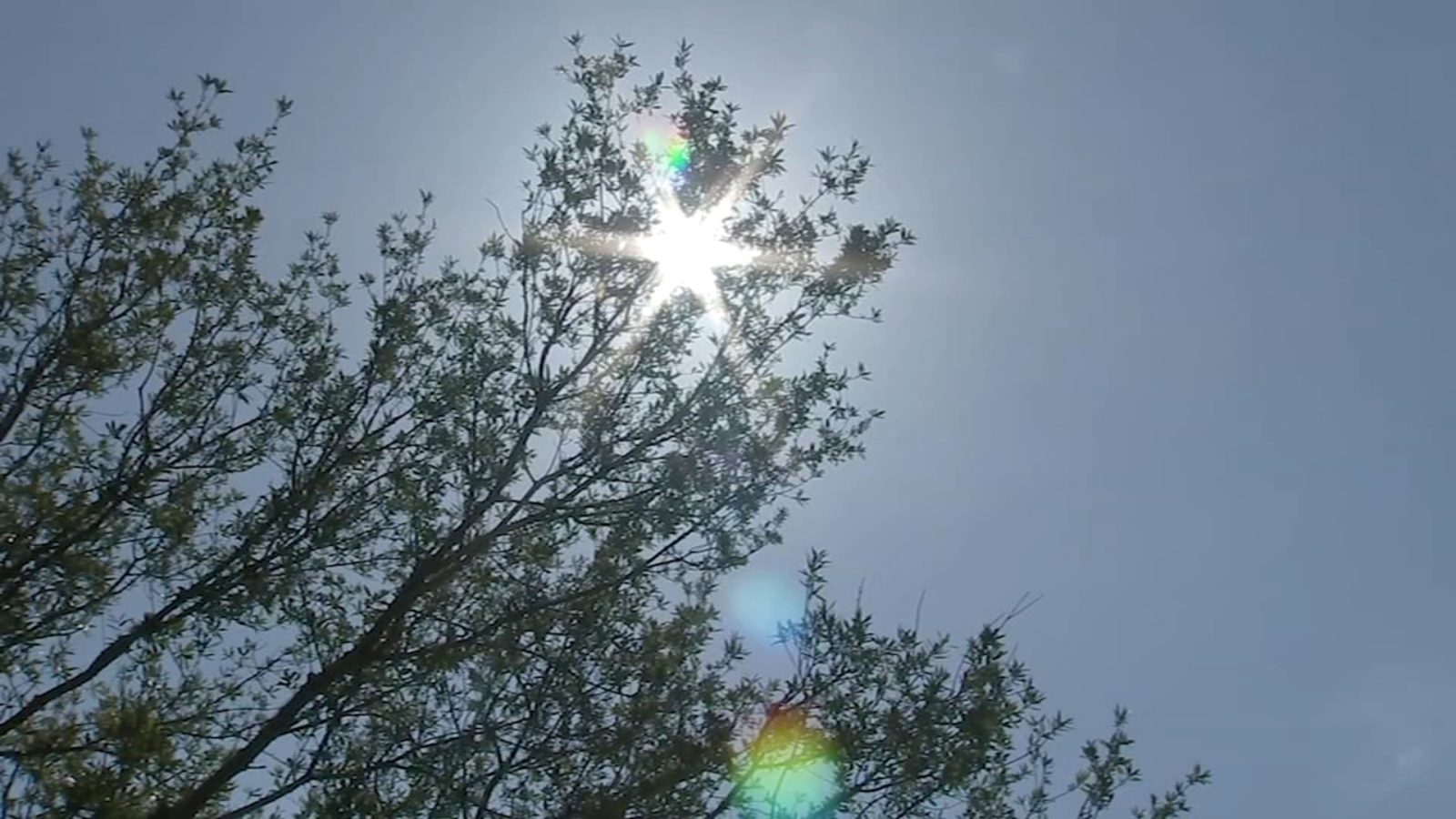 Houston heat wave: City libraries and service centers open to public as ...