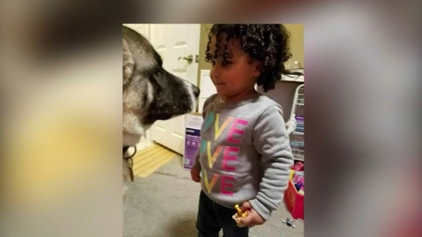 'Small win': Jenesis Dockery's family relieved 12-year-old accused of ...