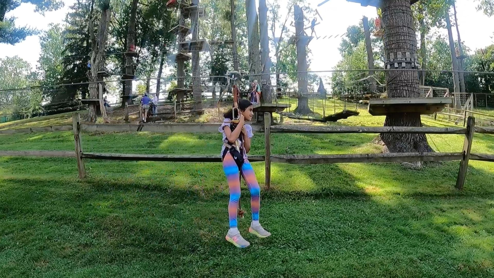Treetop Adventures brings thrills to new heights at Elmwood Park Zoo ...
