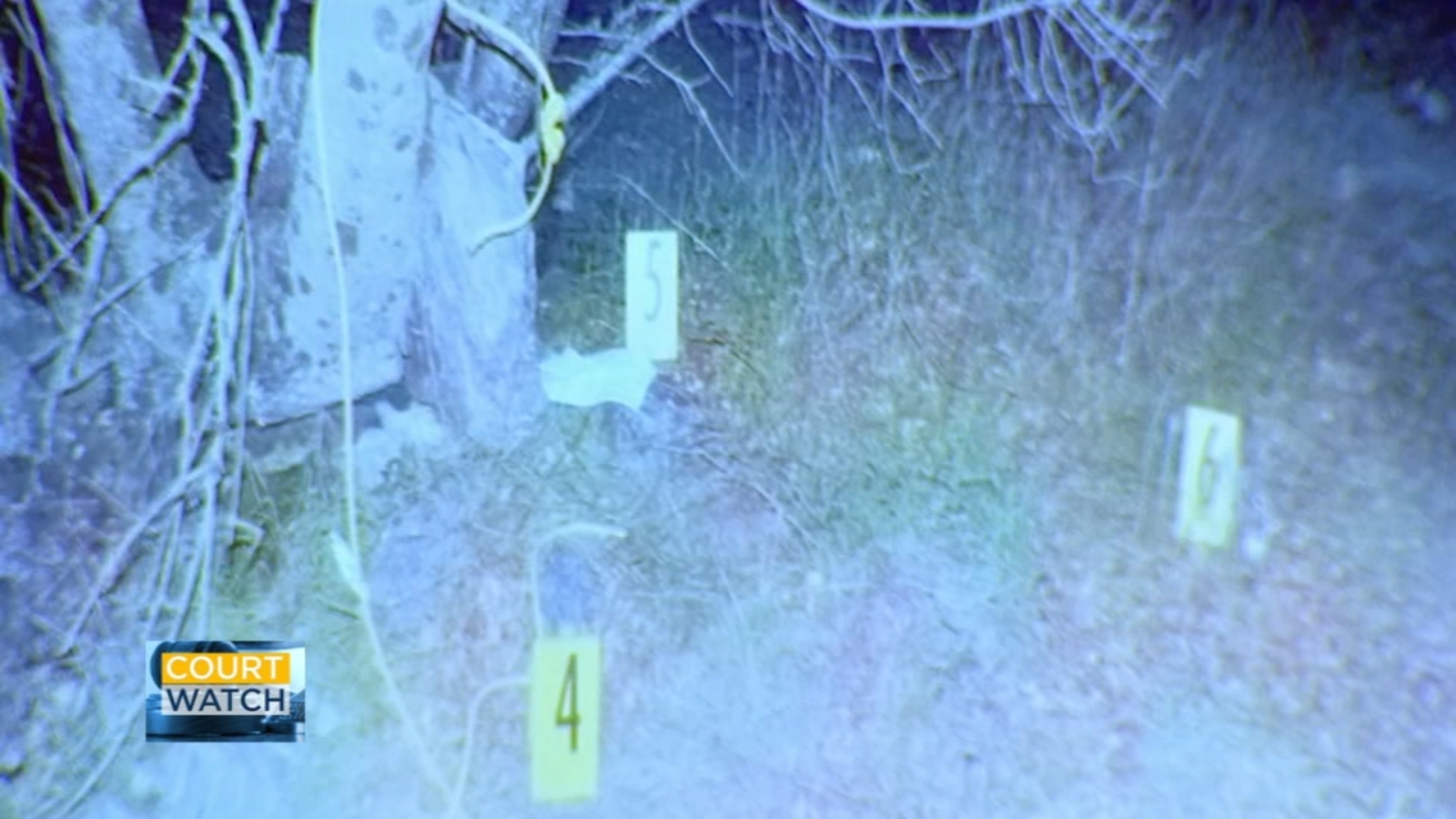 Telling testimony in Clovis kidnapping trial Wednesday - ABC30 Fresno