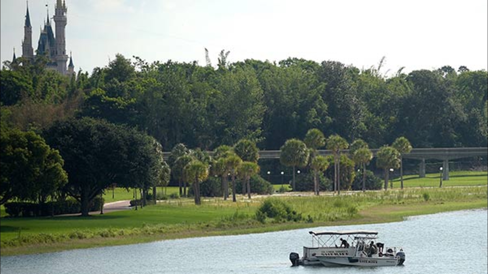 Child dragged into water by alligator near Disney's Grand Floridian ...