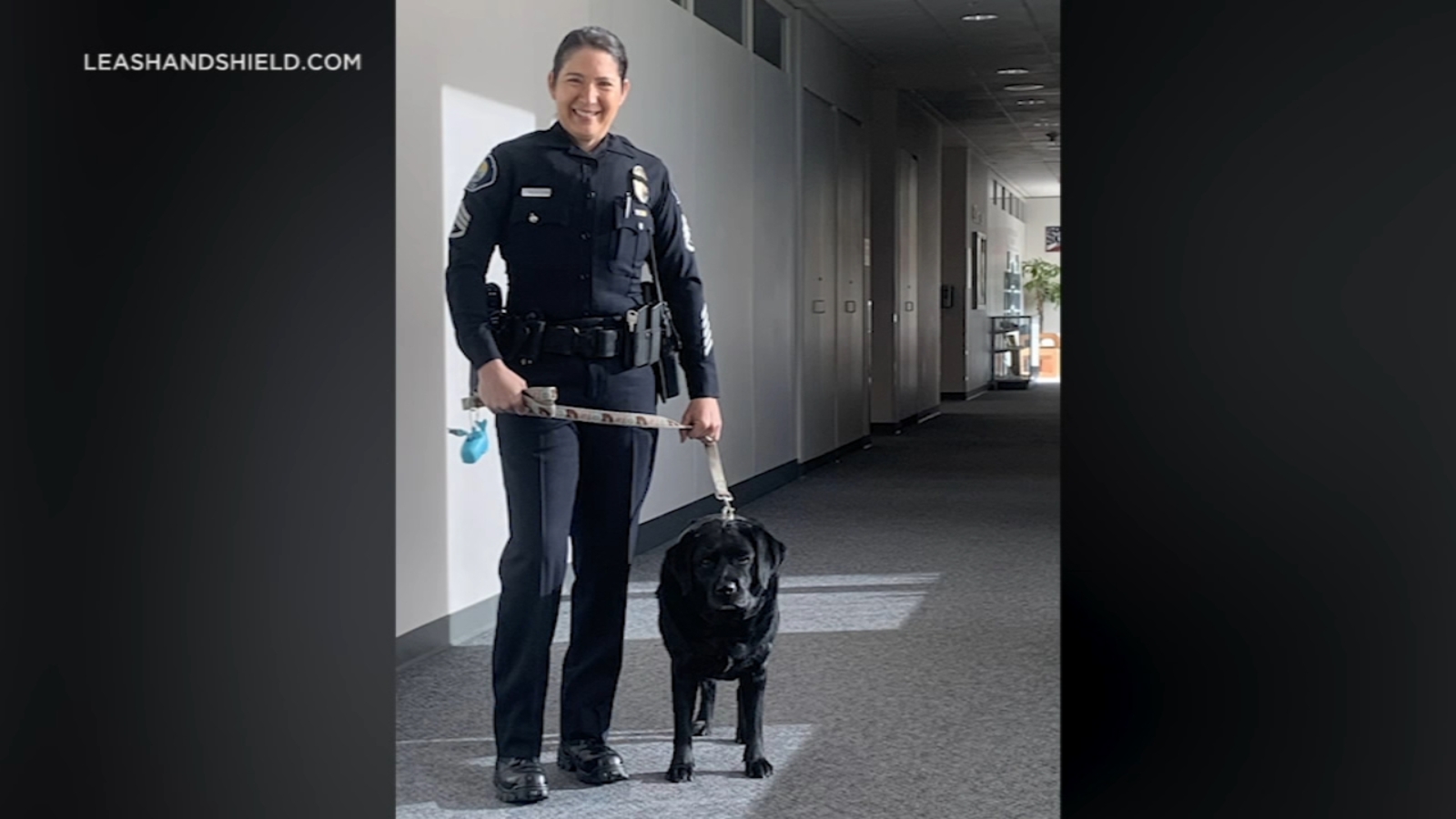 With pet thefts on rise, one solution is armed dog walking, provided by ...