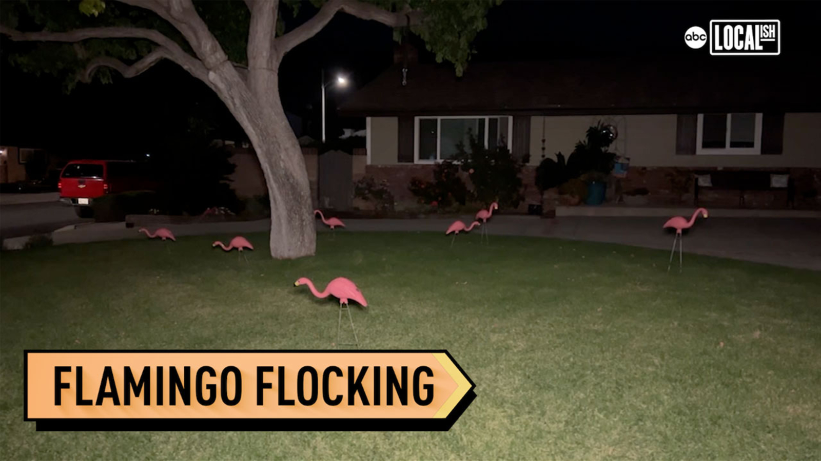 Flocking flamingos prank supports breast cancer awareness - ABC7 Chicago