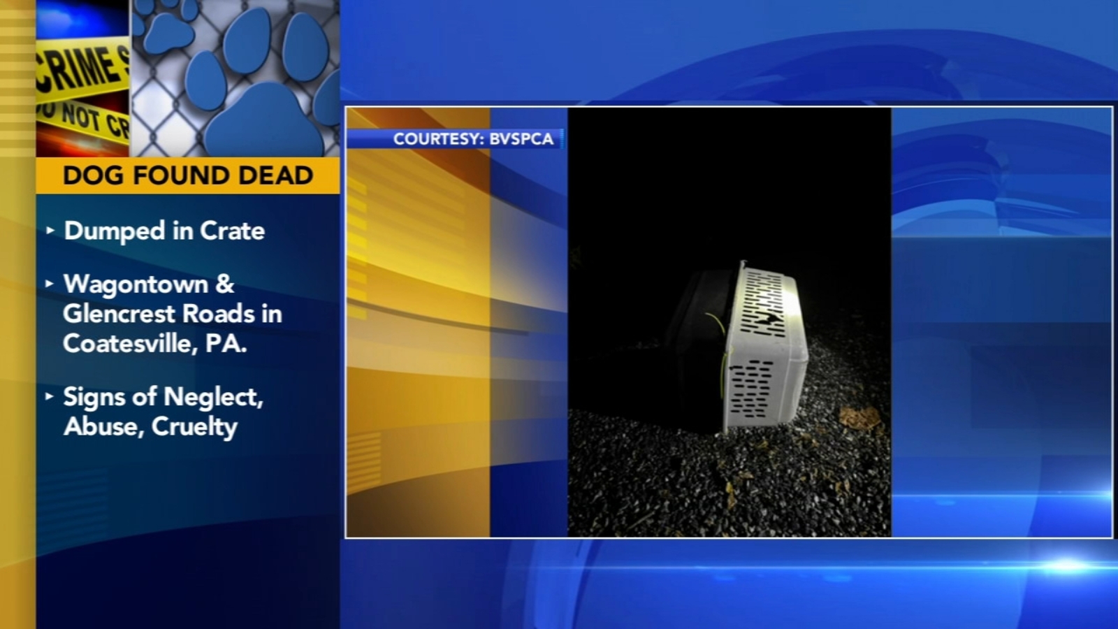 Authorities investigate disturbing animal cruelty case after dead dog ...