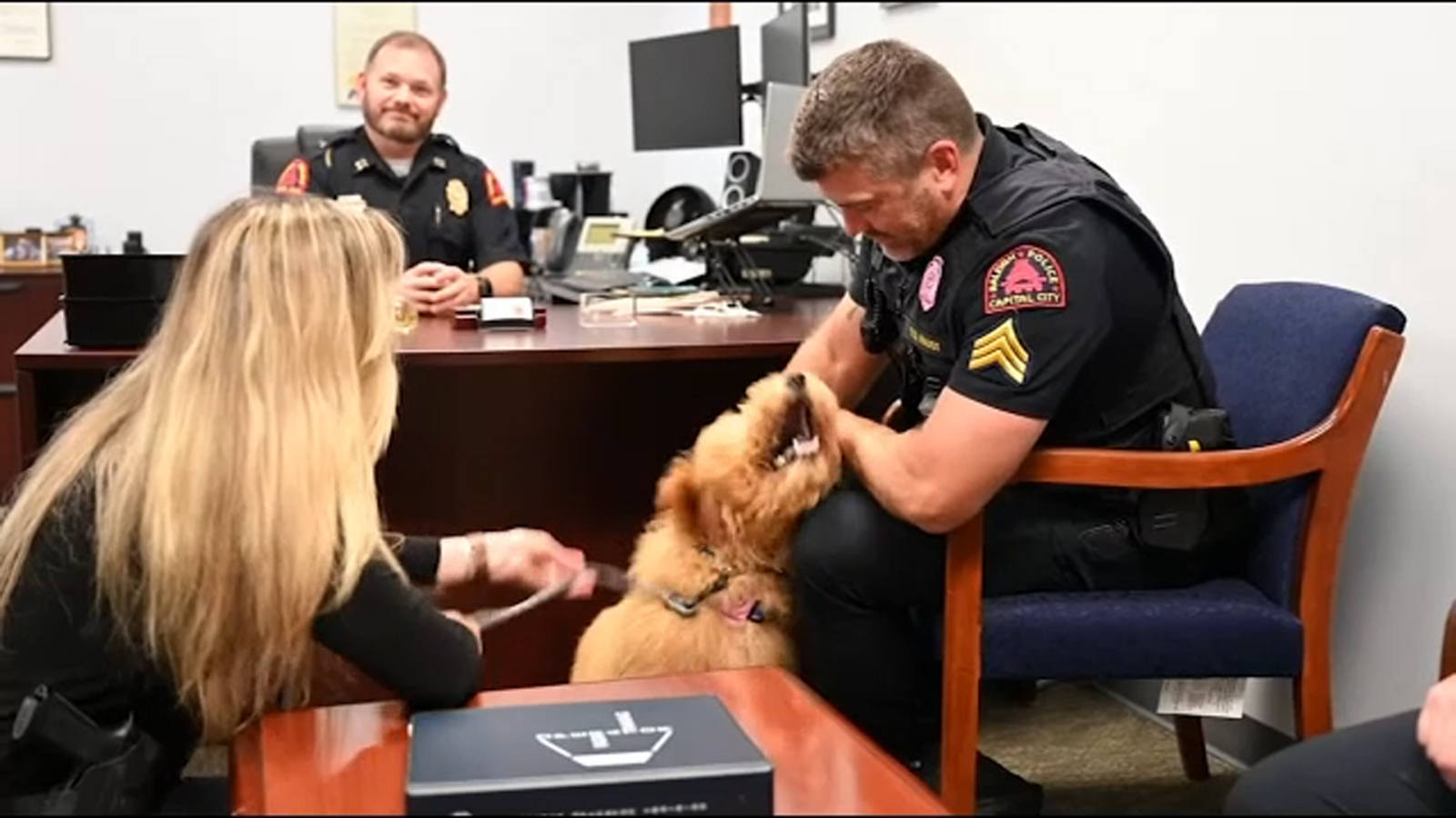 Raleigh Police Department receives first-ever therapy dog | Teddy the ...