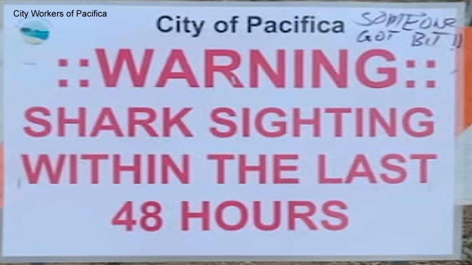 Man injured while surfing after suspected shark bite to leg at Linda ...