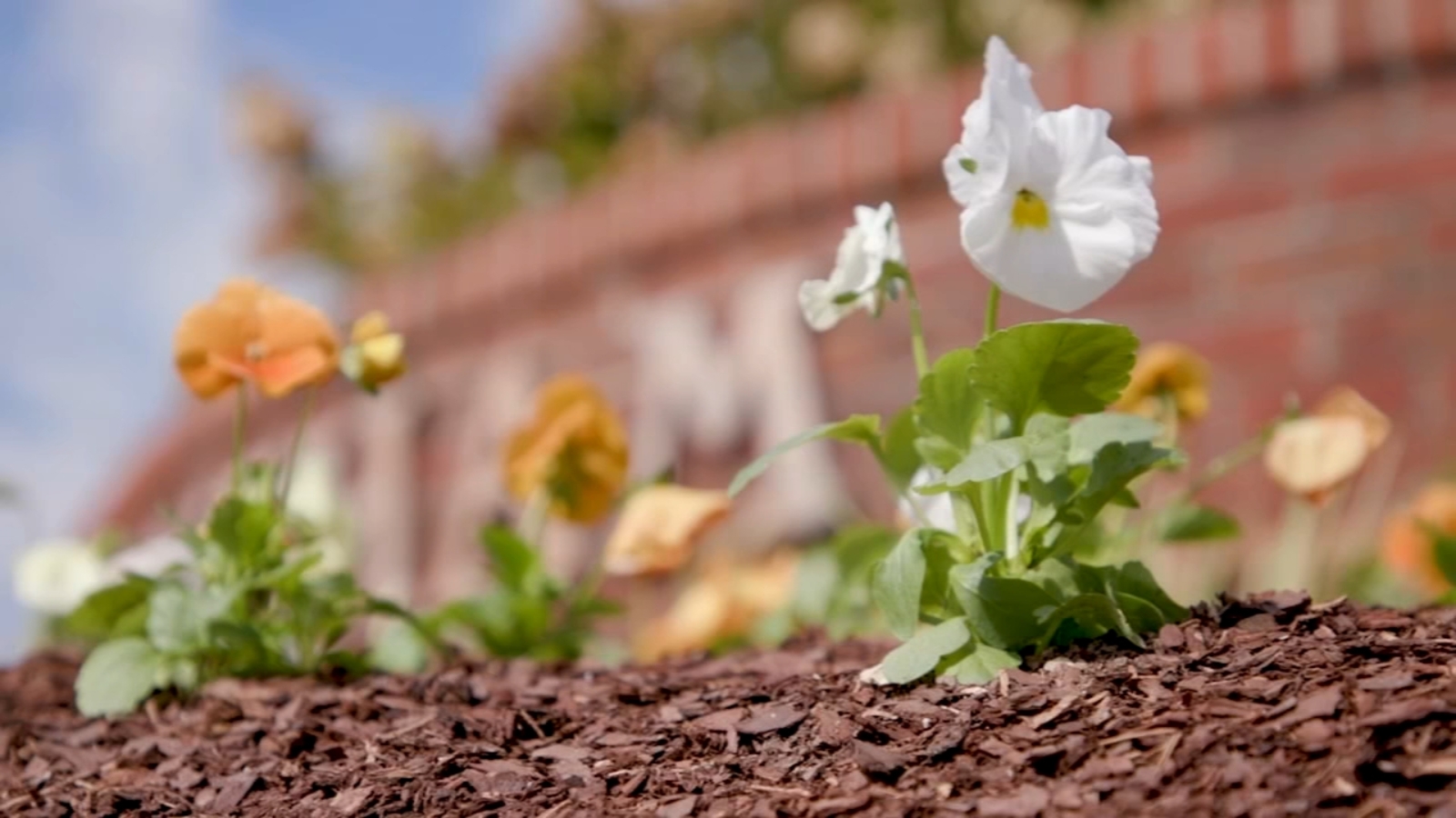 Hedingham Mass Shooting | One year later: Wounds from Hedingham ...