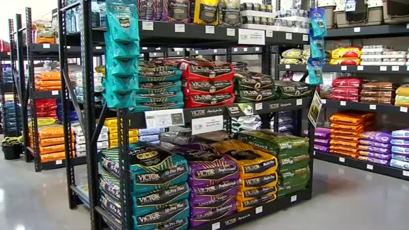 Atwater Feed opens temporary location months after fire - ABC30 Fresno