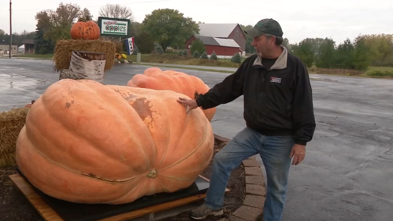 Bill Roethle, who owns Hillside Apples near Casco, WI, prepares for ...