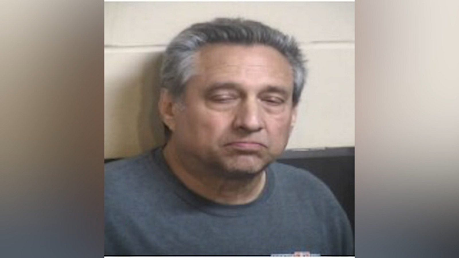 Driver Out On Bond After Hit And Run Crash At Pro Palestine