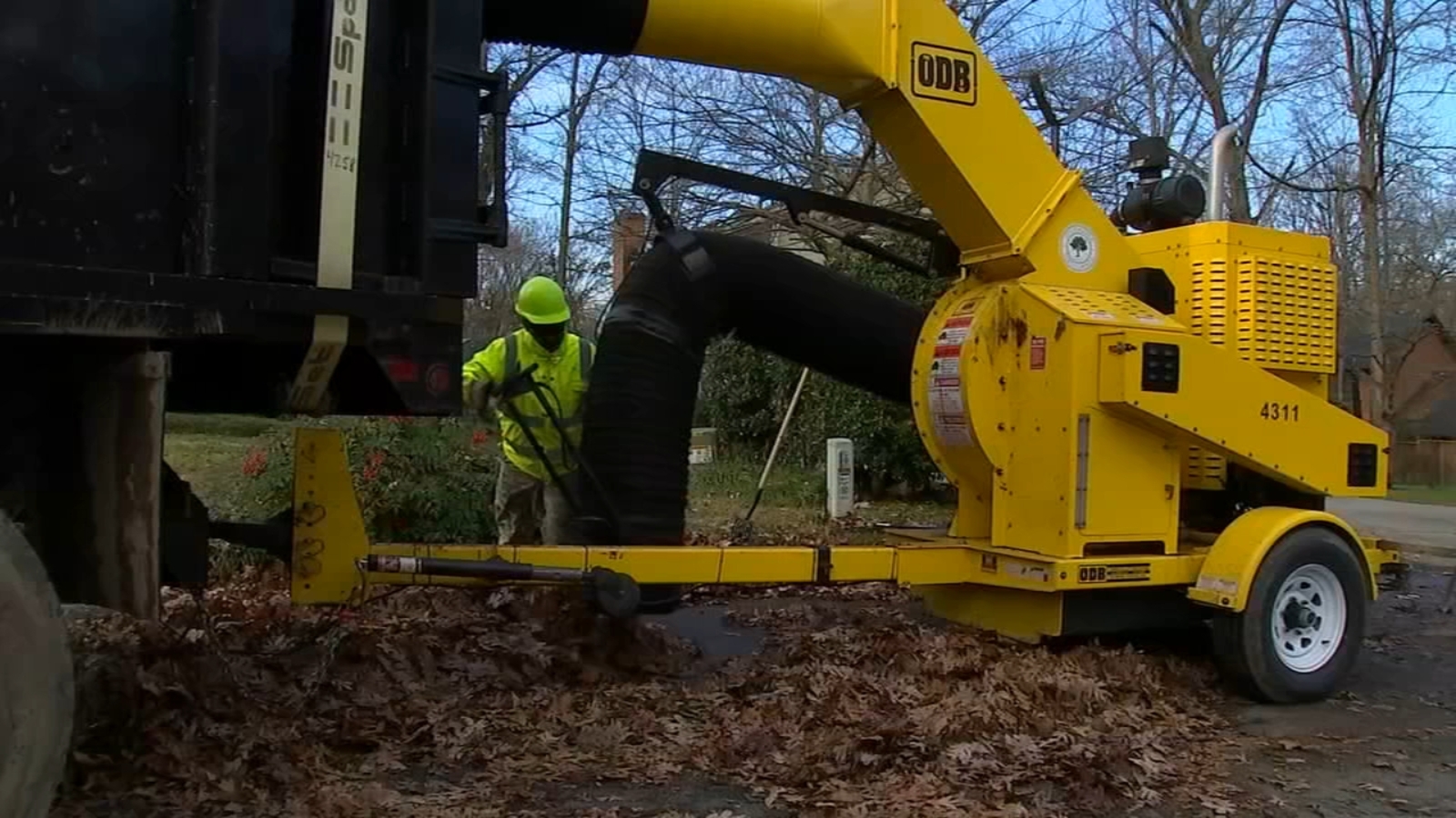 City of Raleigh begins curbside leaf collection - ABC11 Raleigh-Durham