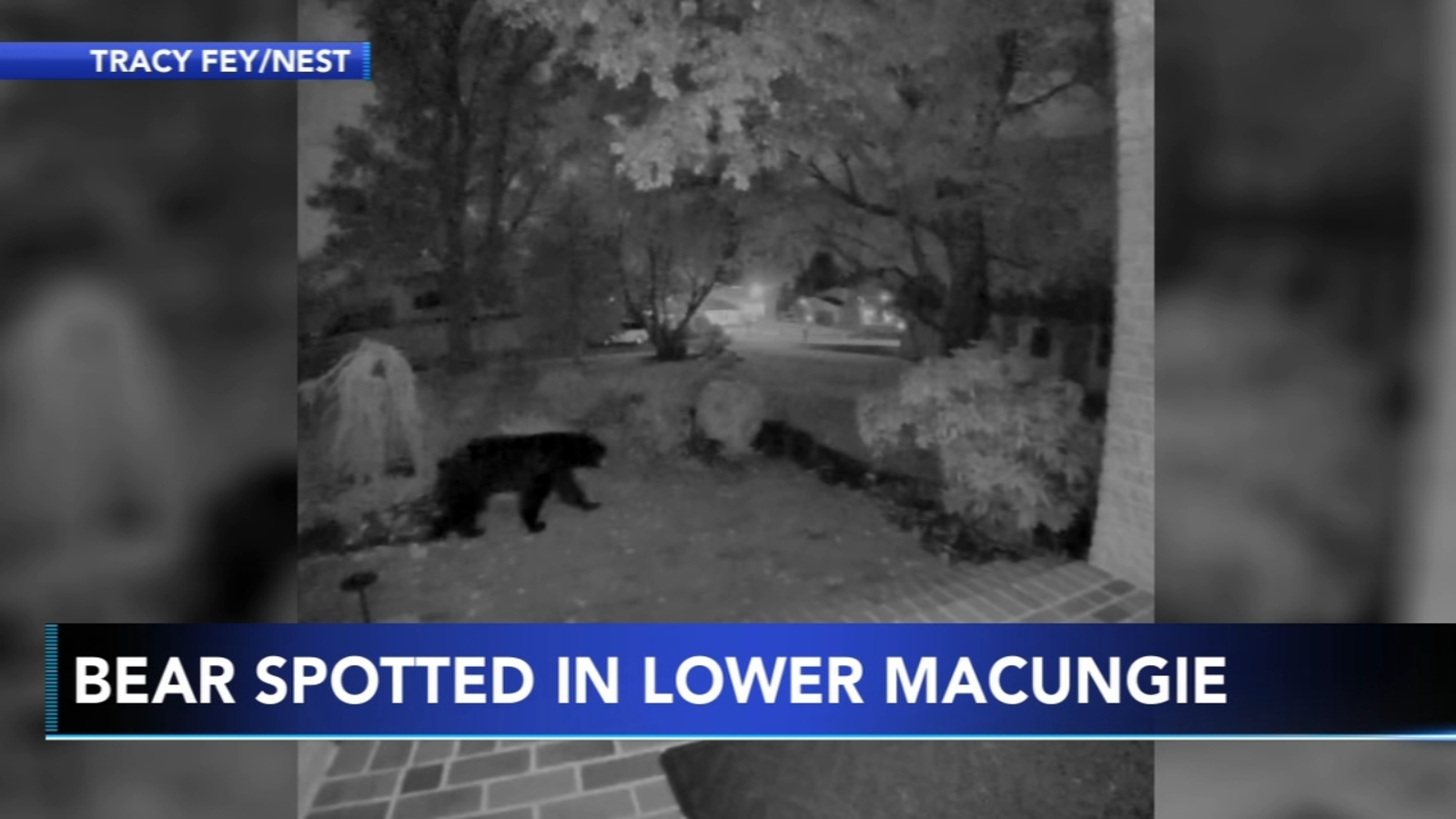 Pennsylvania State Police warn residents about bear spotted in Lower ...