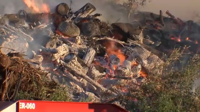 Spring Branch mulch fire: Hammerly and Hollister work site blaze now ...