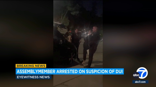 California Assemblymember Wendy Carrillo arrested for DUI after Los ...