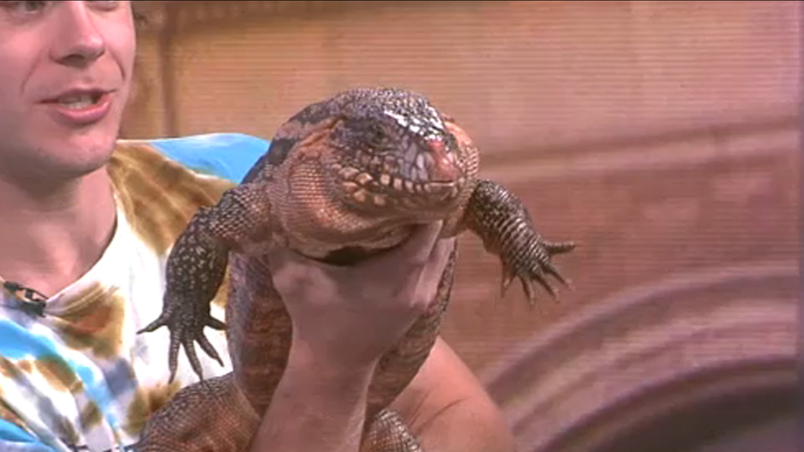 Reptile Ron spreading awareness with exotic animal presentations ...