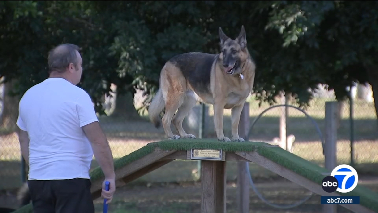 Dog owners unhappy with $58 million plan for new bike path in Sepulveda ...
