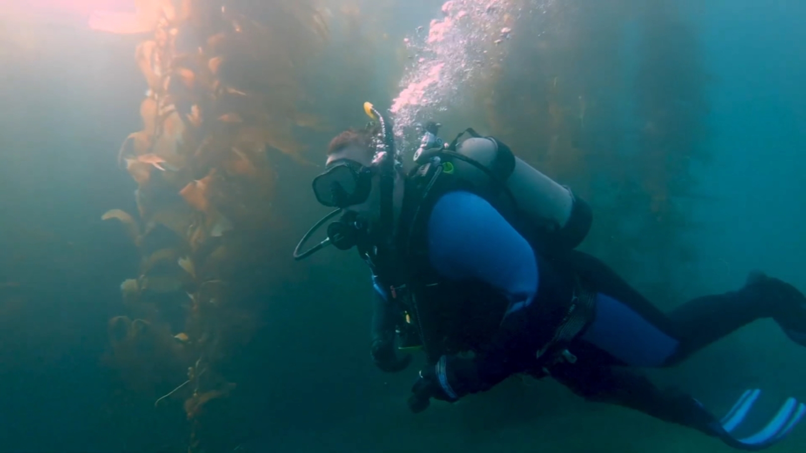 Underwater Relief: Scuba Program Becomes Lifeline for Veterans - ABC13 ...