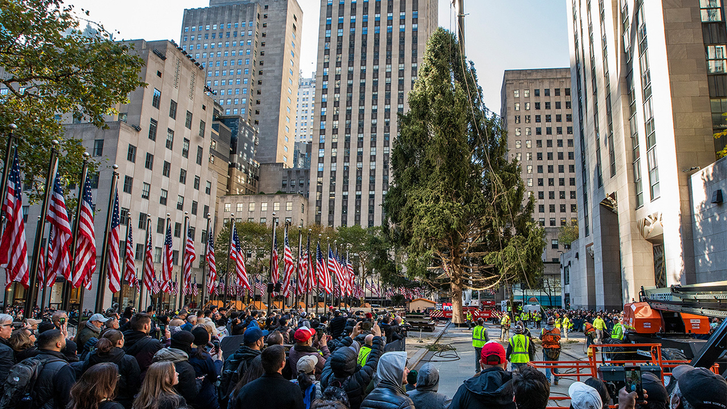 Rockefeller Center Christmas Tree Drawing Midtown Archives
