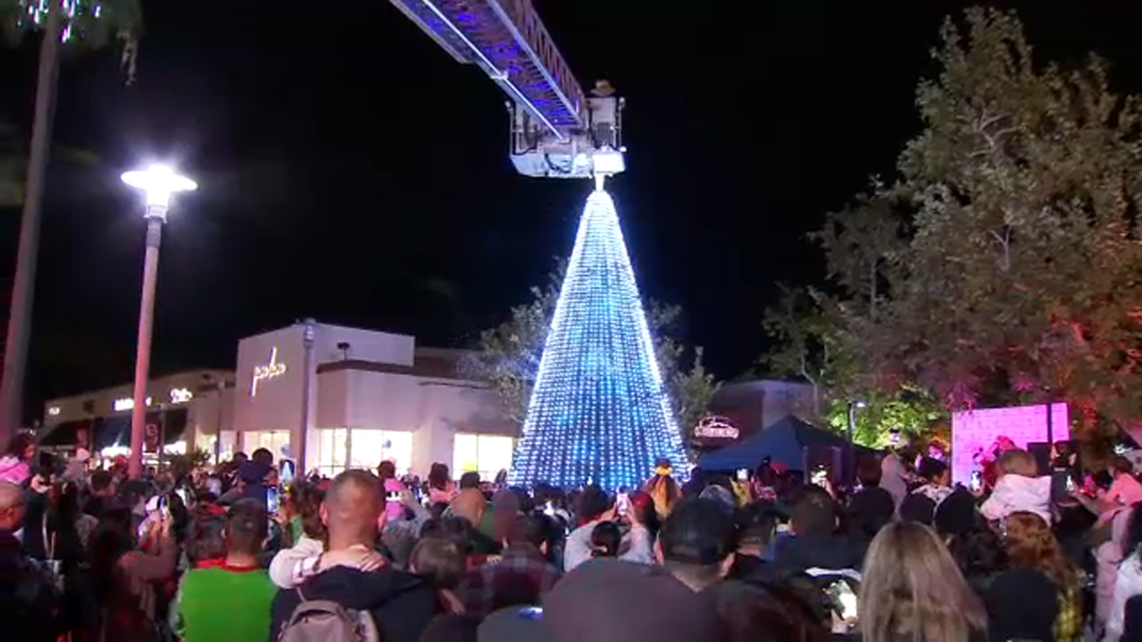 Christmas tree lighting up Fresno's River Park for holiday season ...