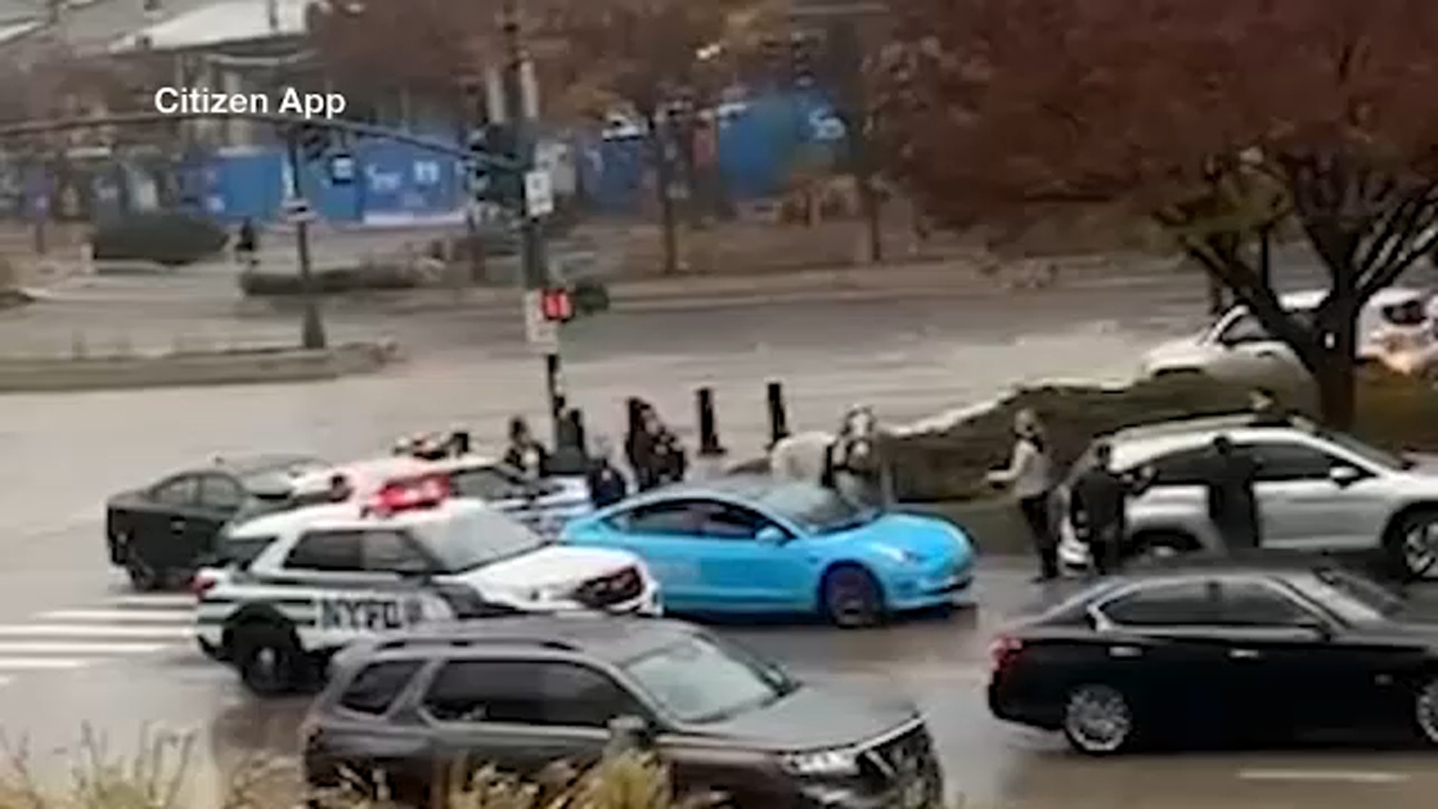 Horse breaks free from carriage, runs into parked cars on West Side ...