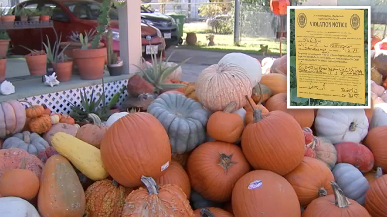 Pumpkins at center of debate in Houston Heights neighborhood, with city ...