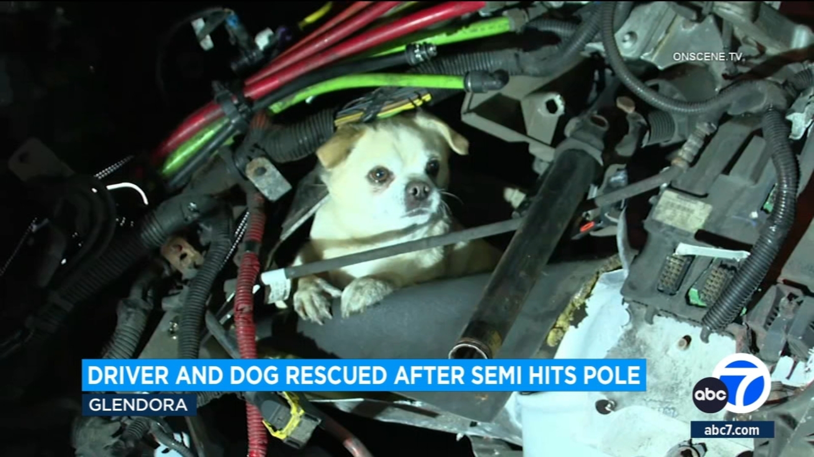 Driver, small dog rescued after semi-truck crashes into pole on 210 ...