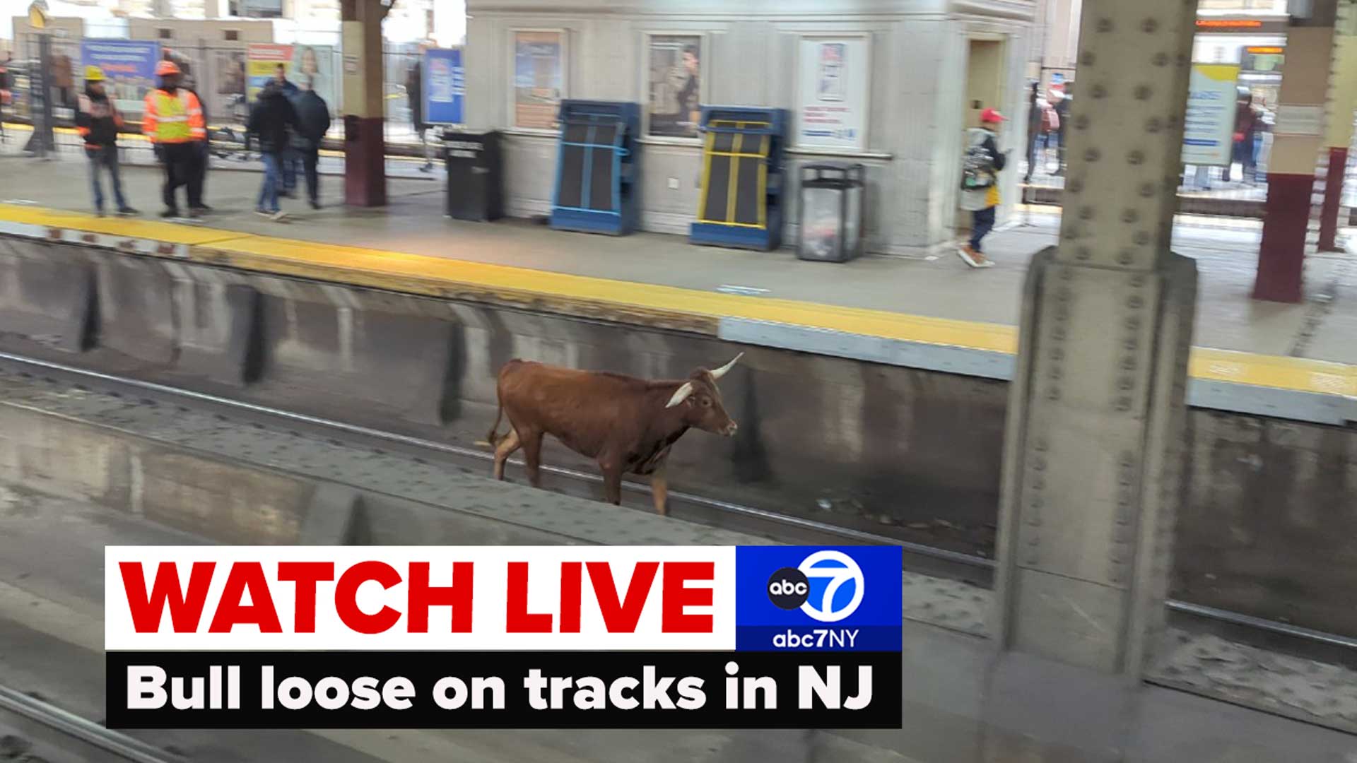 Action News at 11pm - February 15, 2023 - 6abc Philadelphia