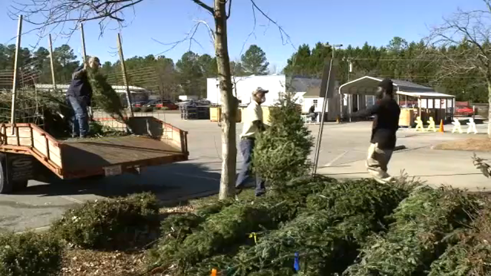 Durham Rescue Mission giving away Christmas trees to families ahead of ...