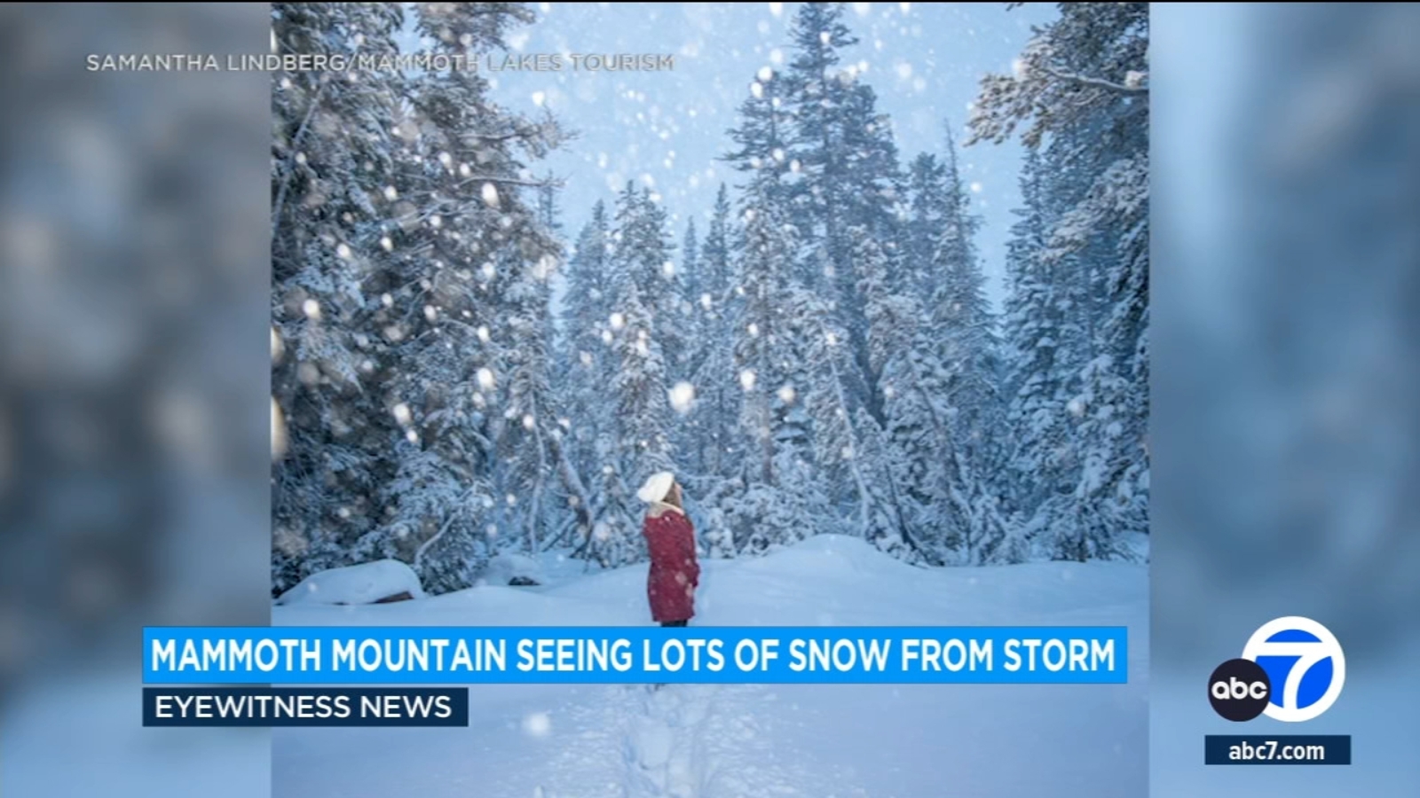 Mammoth Mountain sees more than 8 inches of fresh snow from storm ...